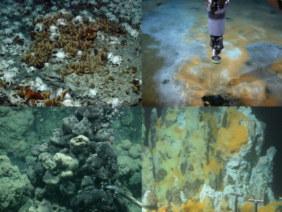17.03.2015 Methane seeps: Oases in the deep sea