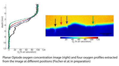 Planar Optode in situ module