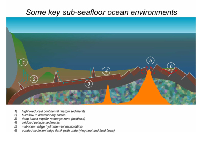 Deep Sub-seafloor Biogeochemistry-The Deep Biosphere